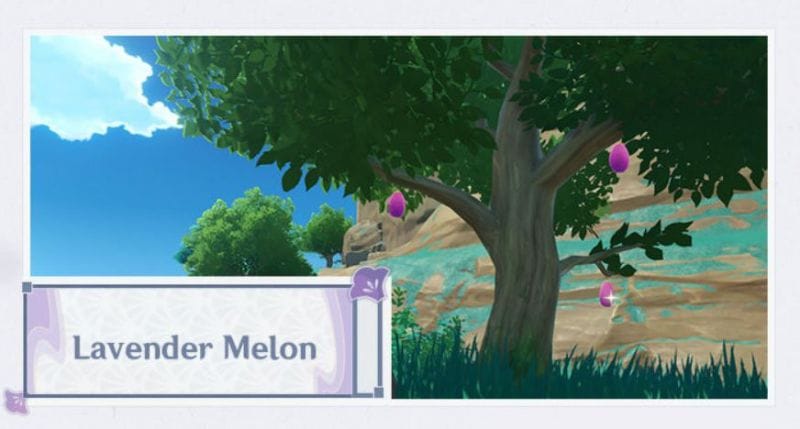 Genshin Impact announces 8 new Inazuma specialties: Wood, plants and ...