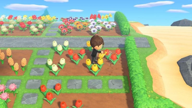 Flower guide for Animal Crossing: All you need to know