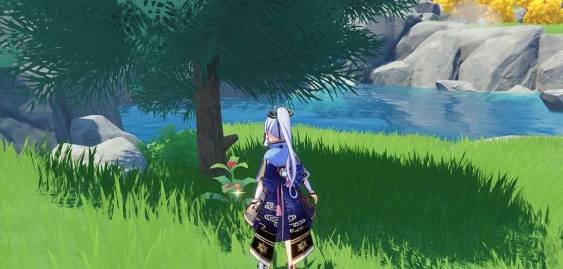 Top 5 Valberry locations in Genshin Impact: Best farming routes to find ...