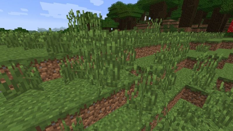 Where to get wheat easily in Minecraft survival