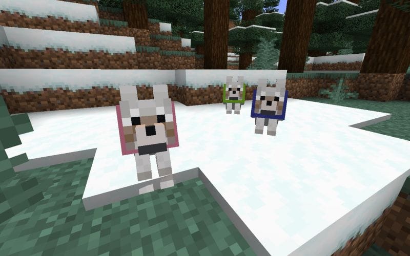 5 Minecraft mobs that should be updated