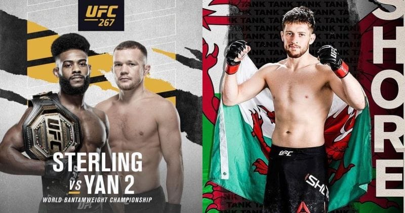 Jack Shore breaks down Aljamain Sterling vs. Petr Yan 2