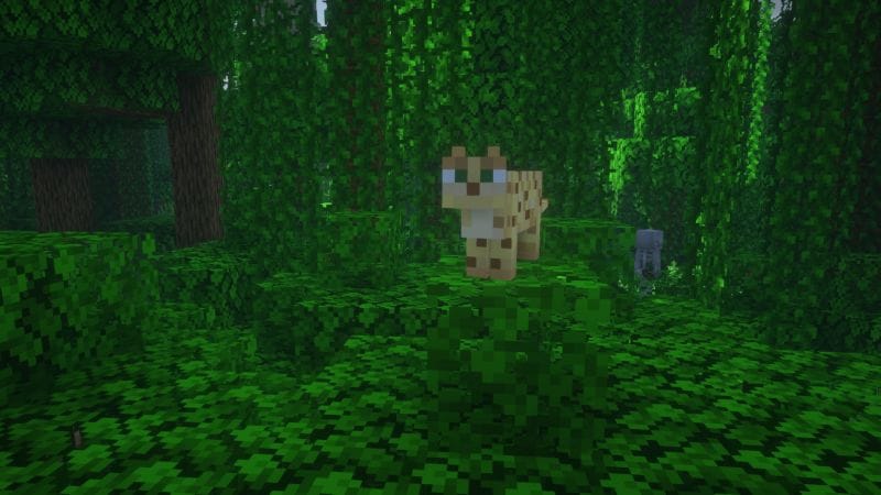 5 best things about jungle biome in Minecraft