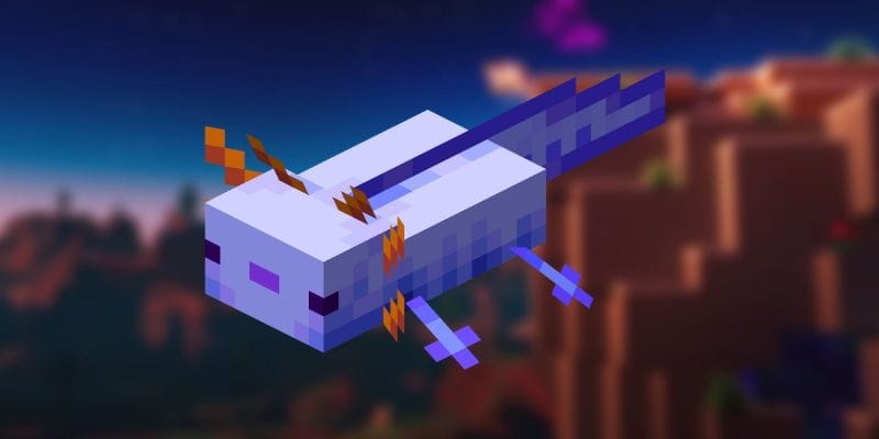 How to spawn a blue Axolotl in Minecraft