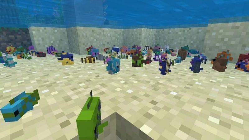 Top 5 water mobs in Minecraft