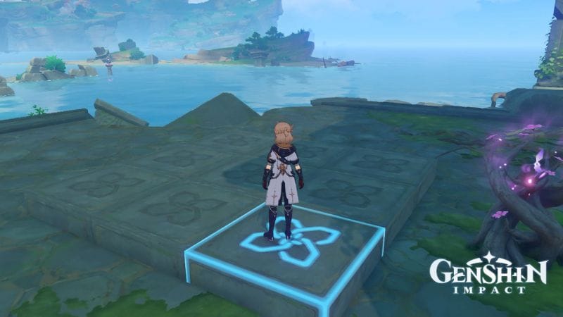 Genshin Impact special treasure (2nd) location in Inazuma: How to find ...