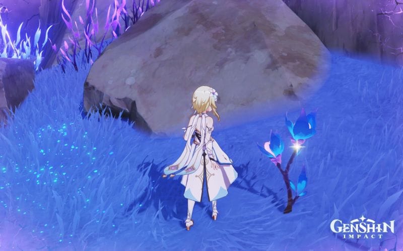 Where to find Amakumo Fruits in Genshin Impact: Interactive map ...