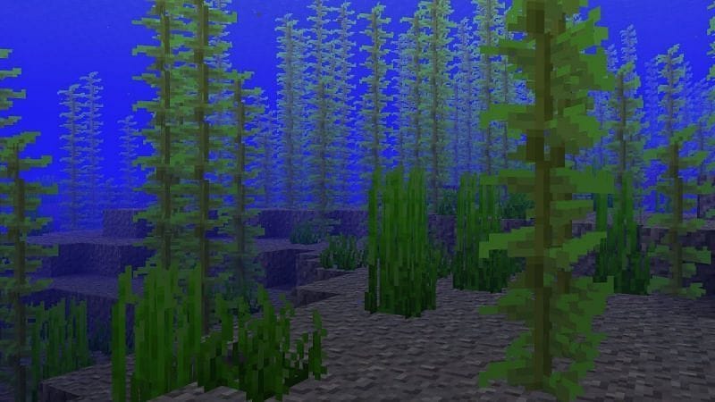 Dried kelp in Minecraft: Everything you need to know