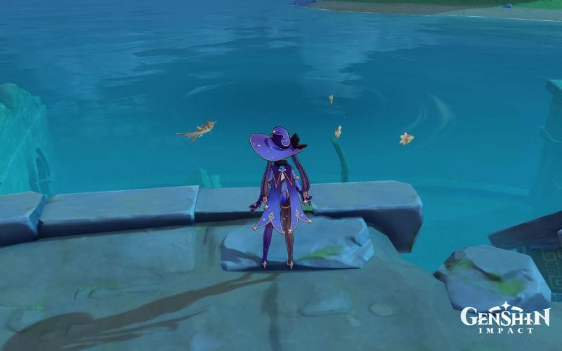 Rusty Koi & Golden Koi in Genshin Impact: Fishing location and best ...