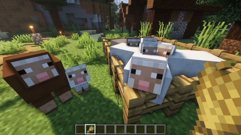 What do sheep eat in Minecraft to breed?