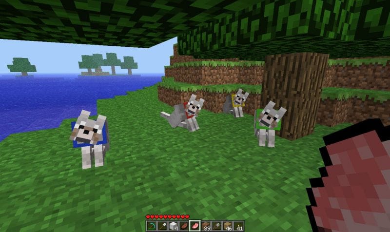Top 5 things you probably didn't know about wolves in Minecraft