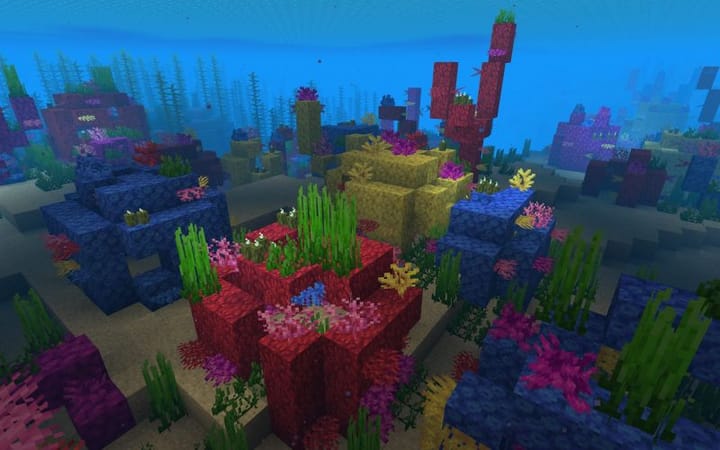 5 best Minecraft 1.17 seeds for coral reefs