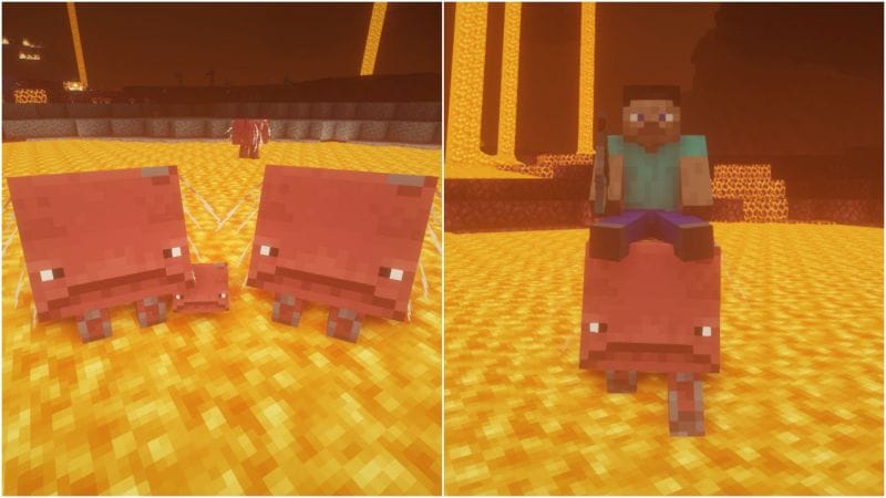 How to breed and ride striders in Minecraft