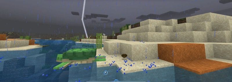 Top 5 things you probably didn't know about turtles in Minecraft