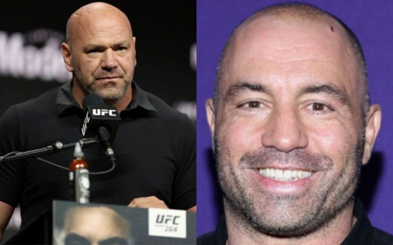 Dana White slams the media over Joe Rogan's COVID-19