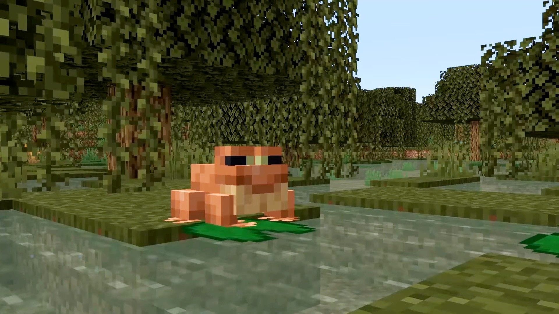 Frogs in Minecraft The Wild Update: Everything we know so far