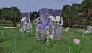 What Is A Skeleton Trap In Minecraft 