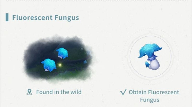 Genshin Impact 2.2 Tsurumi Island features: Stormstones, Specific paths, Remarkable Chests, and more