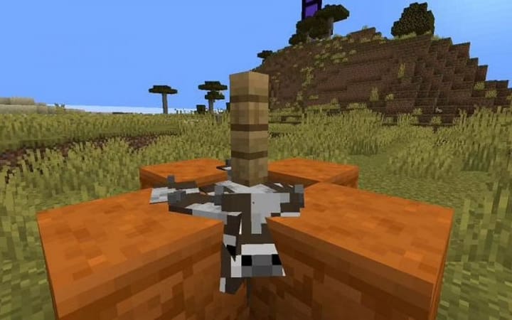 What is entity cramming in Minecraft?