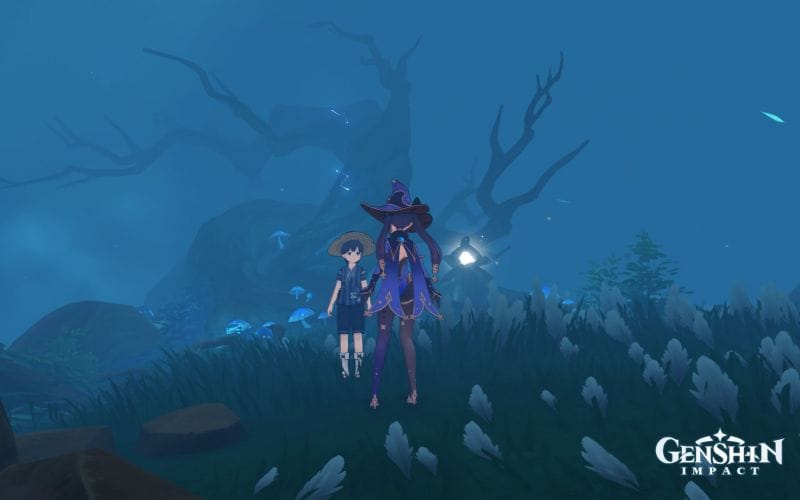 Find your way through the mist and make an offering at the perches ...