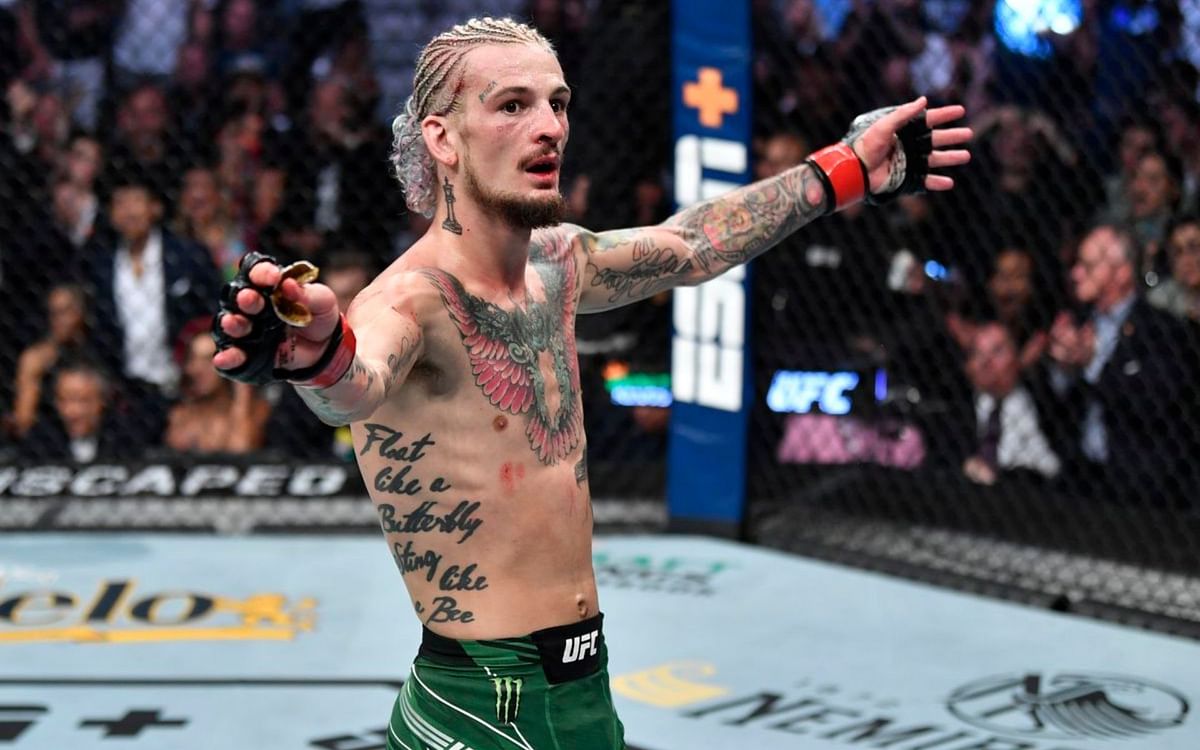 5 Ufc Fighters Who Sport Wacky Hairstyles