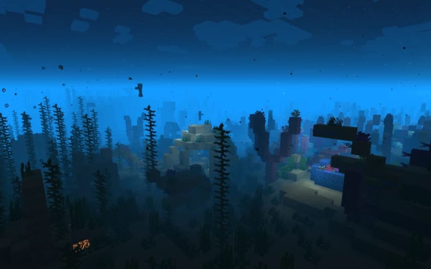 5 best Minecraft seeds for ocean exploration