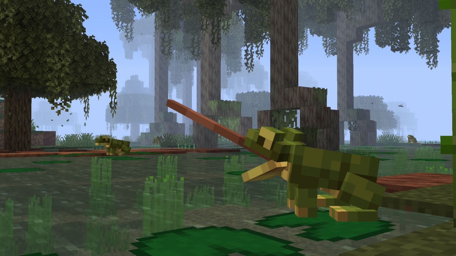 Mangrove trees in Minecraft's The Wild Update: Everything known so far