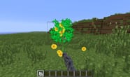 How To Grow Flowers In Minecraft