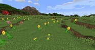 How To Grow Flowers In Minecraft