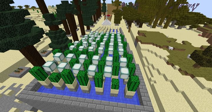 How to farm cactus in Minecraft: Bedrock Edition