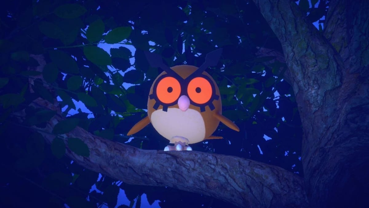 Pokemon GO: Will Hoothoot have a shiny form?