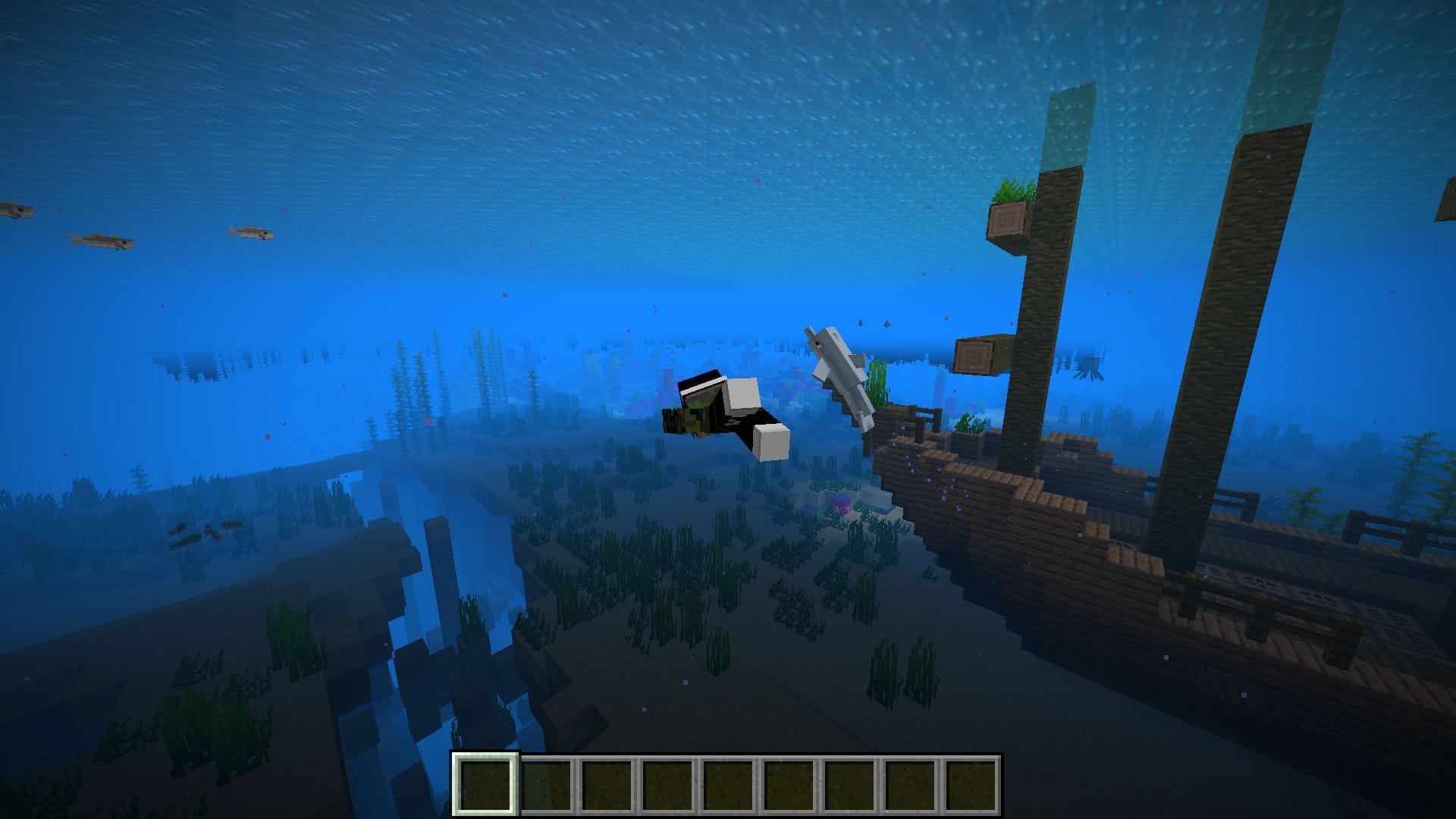 What is Dolphin's grace effect in Minecraft?