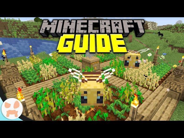 How bee pollination works in Minecraft?