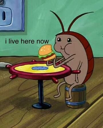 Animal Crossing: New Horizons - How to eliminate cockroaches