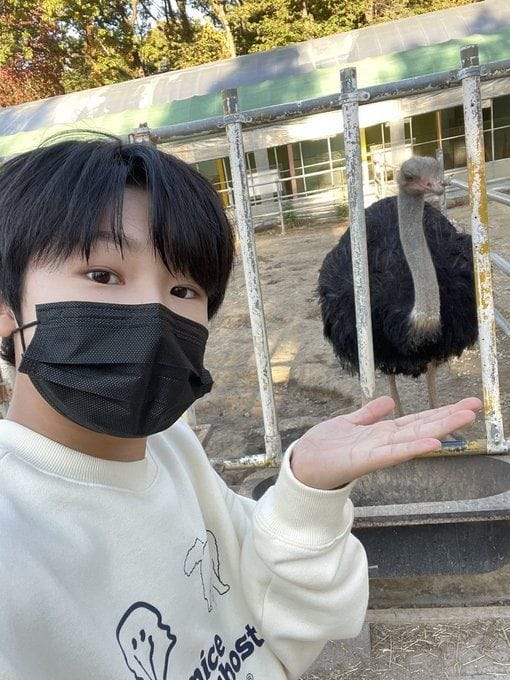 Tanaka Koki will not be debuting with P NATION's upcoming boy group LOUD