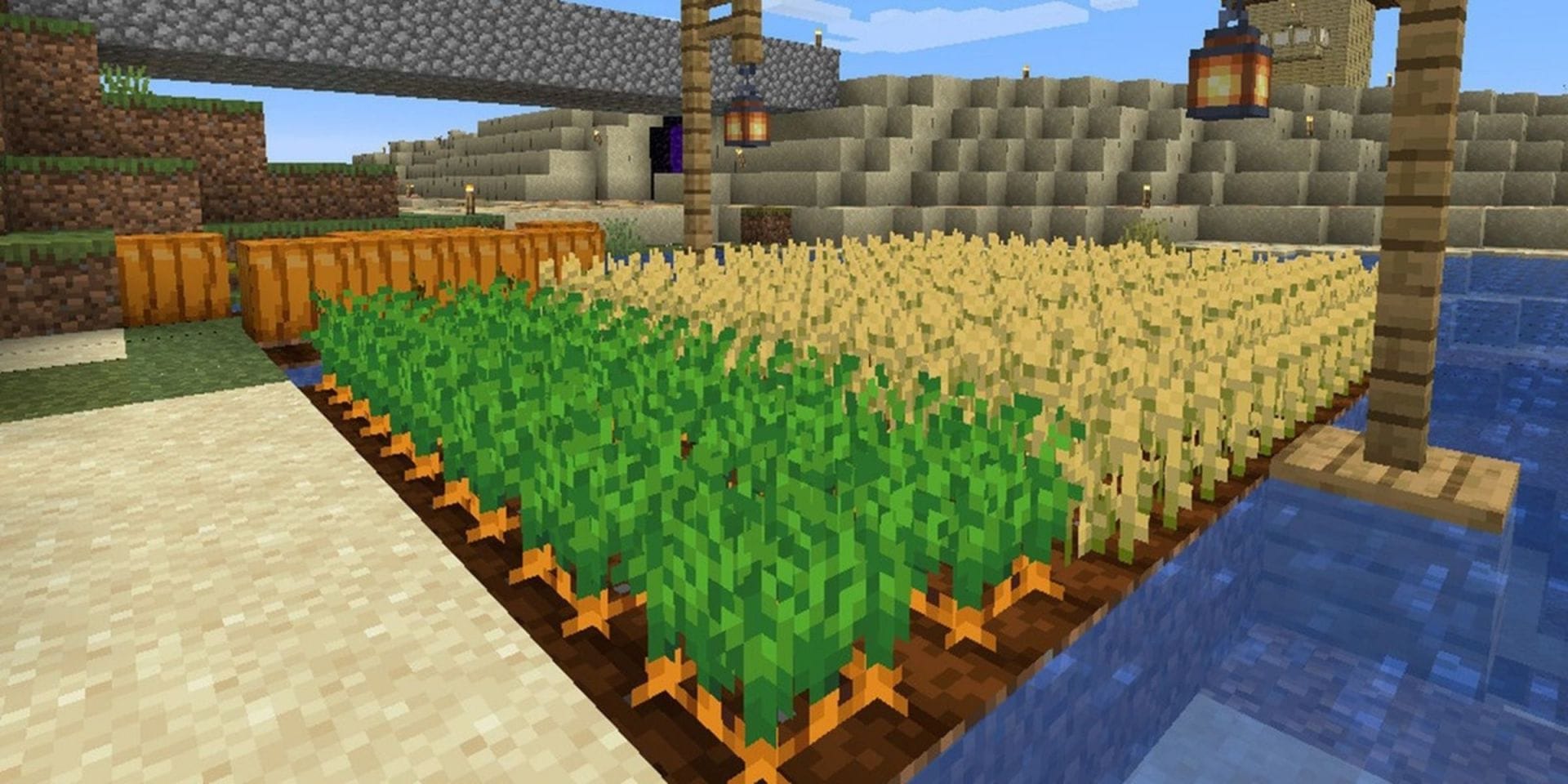 5 best places to grow crops in Minecraft 1.18