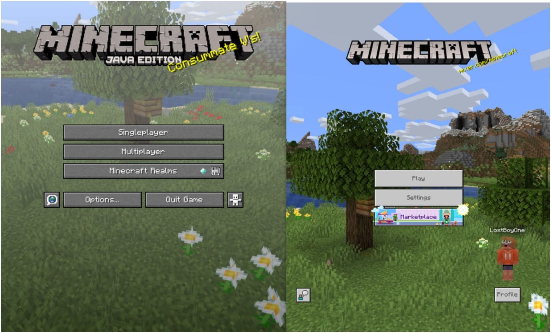 Why some features are between Minecraft Java Edition and Bedrock Edition