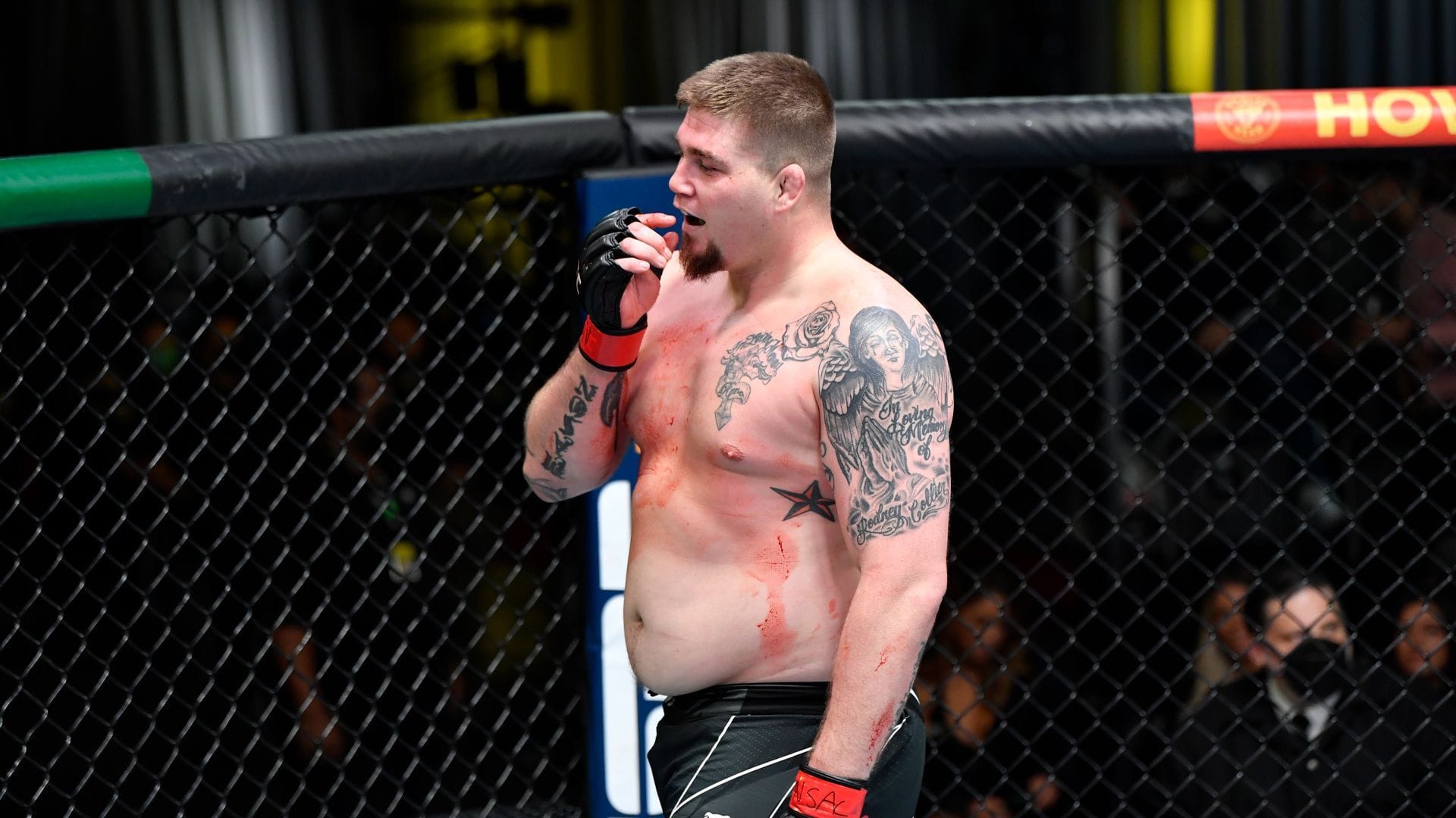 5 biggest winners from UFC Fight Night: Kattar vs. Chikadze