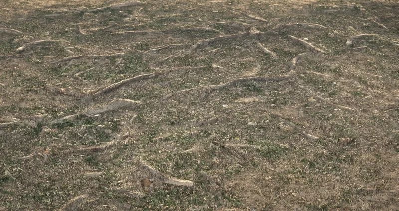 5 best Minecraft realistic texture packs of 2022