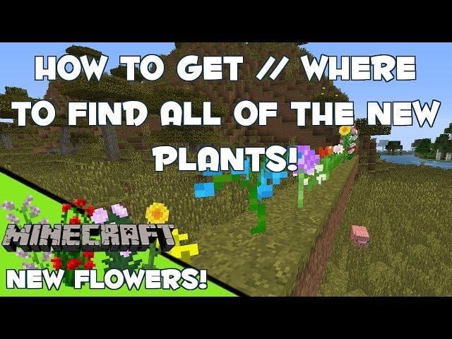How many flowers are there in Minecraft?