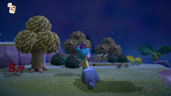 Animal Crossing: New Horizons - How to become a millionaire