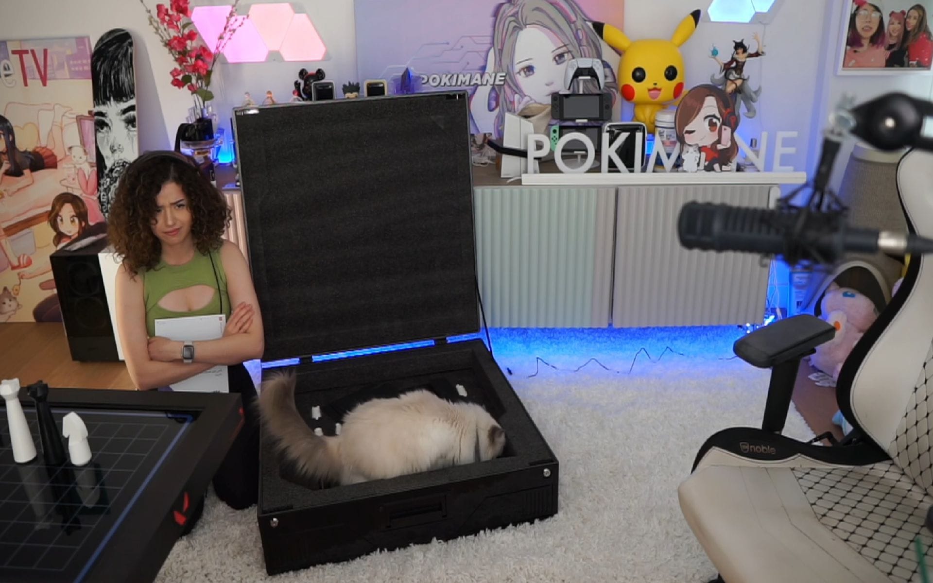 A wholesome clip of Pokimane's cat goes viral on the internet