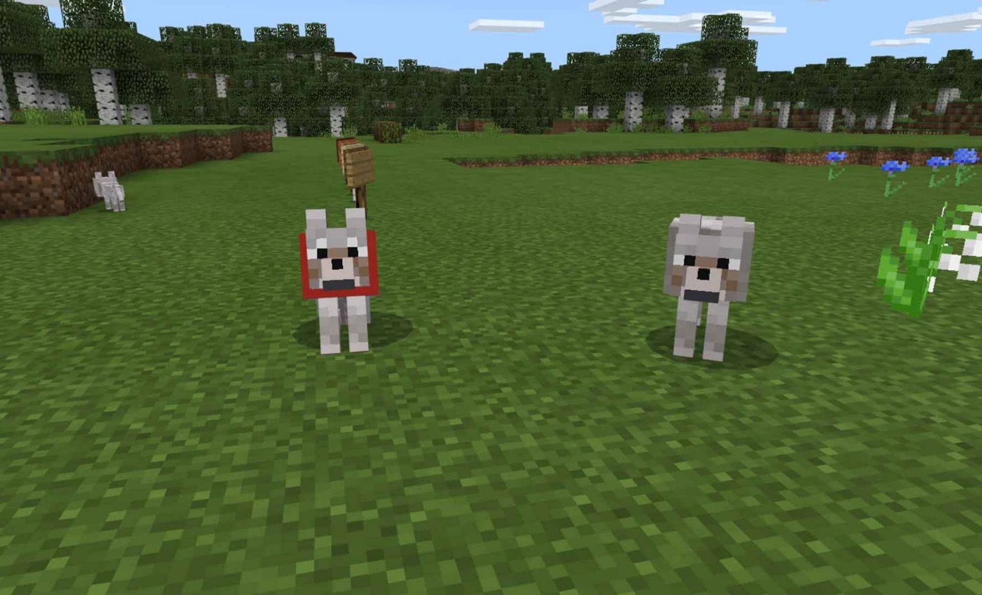Where to find wolves in Minecraft 1.18