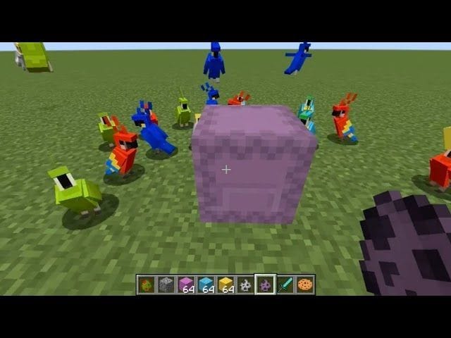 5 best Minecraft pets in 2022