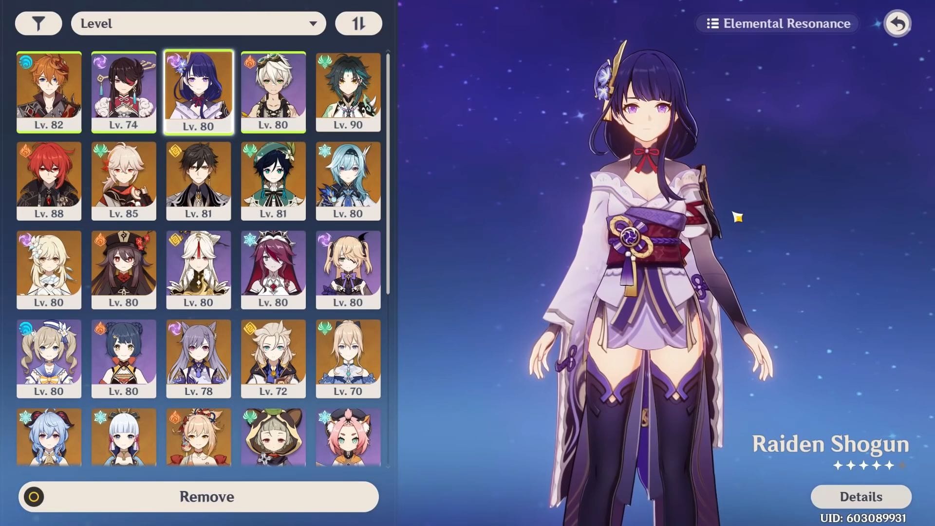 Genshin Impact: Best Raiden Shogun artifacts, weapons, team