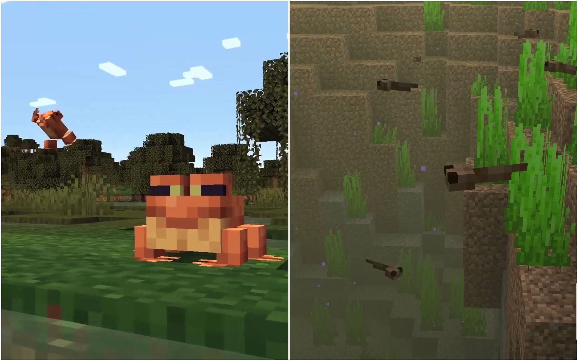 How to breed frogs in Minecraft 1.19 update