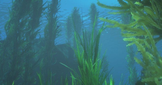 Coral Blocks in Minecraft: All you need to know about