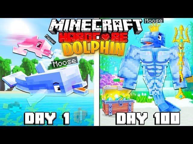 How to increase the trust of dolphins in Minecraft