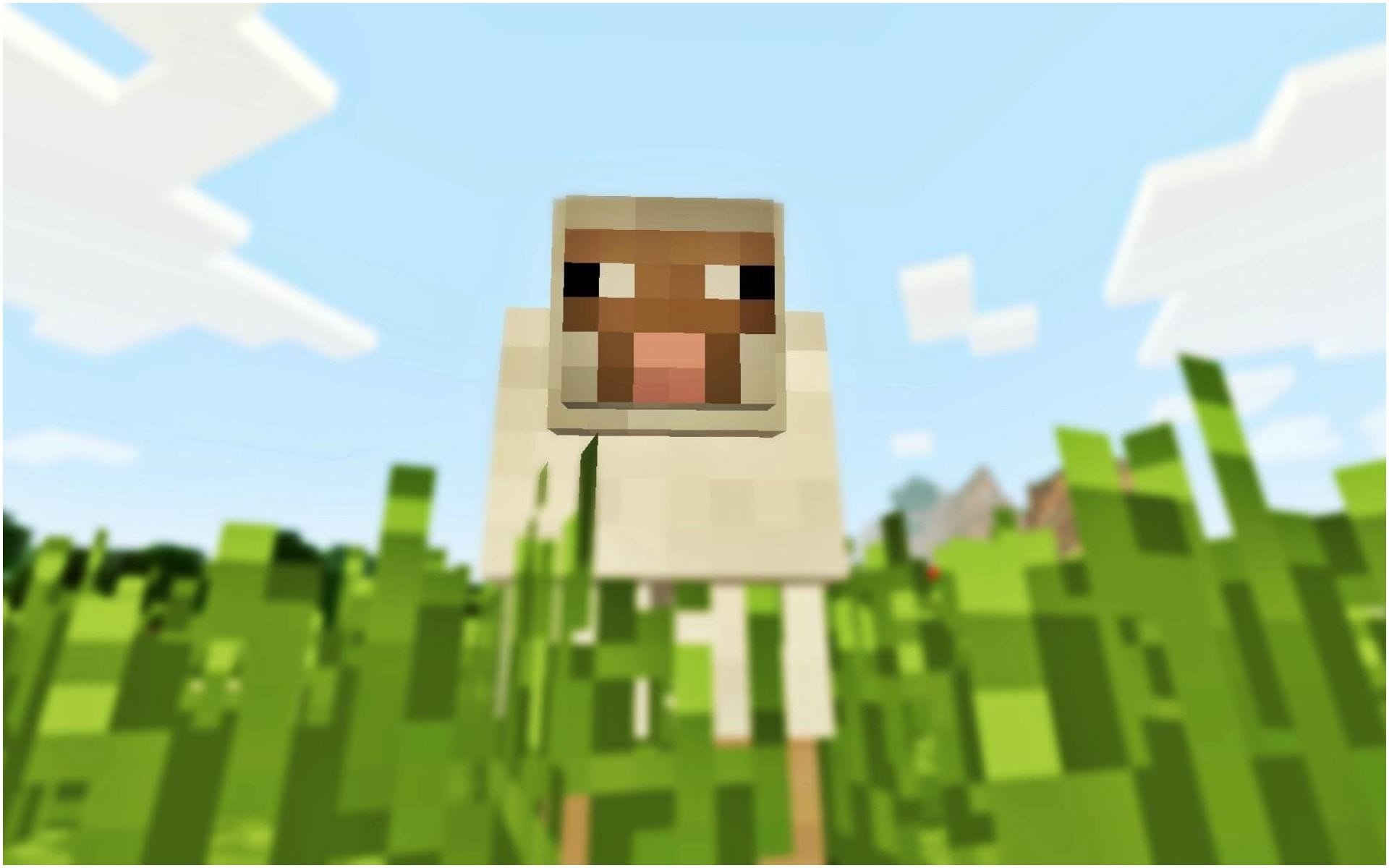 Top 3 uses of Sheep in Minecraft