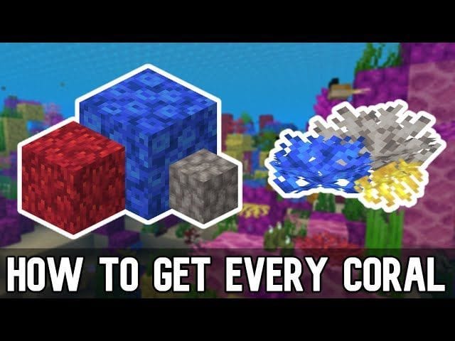 Coral Blocks in Minecraft: All you need to know about